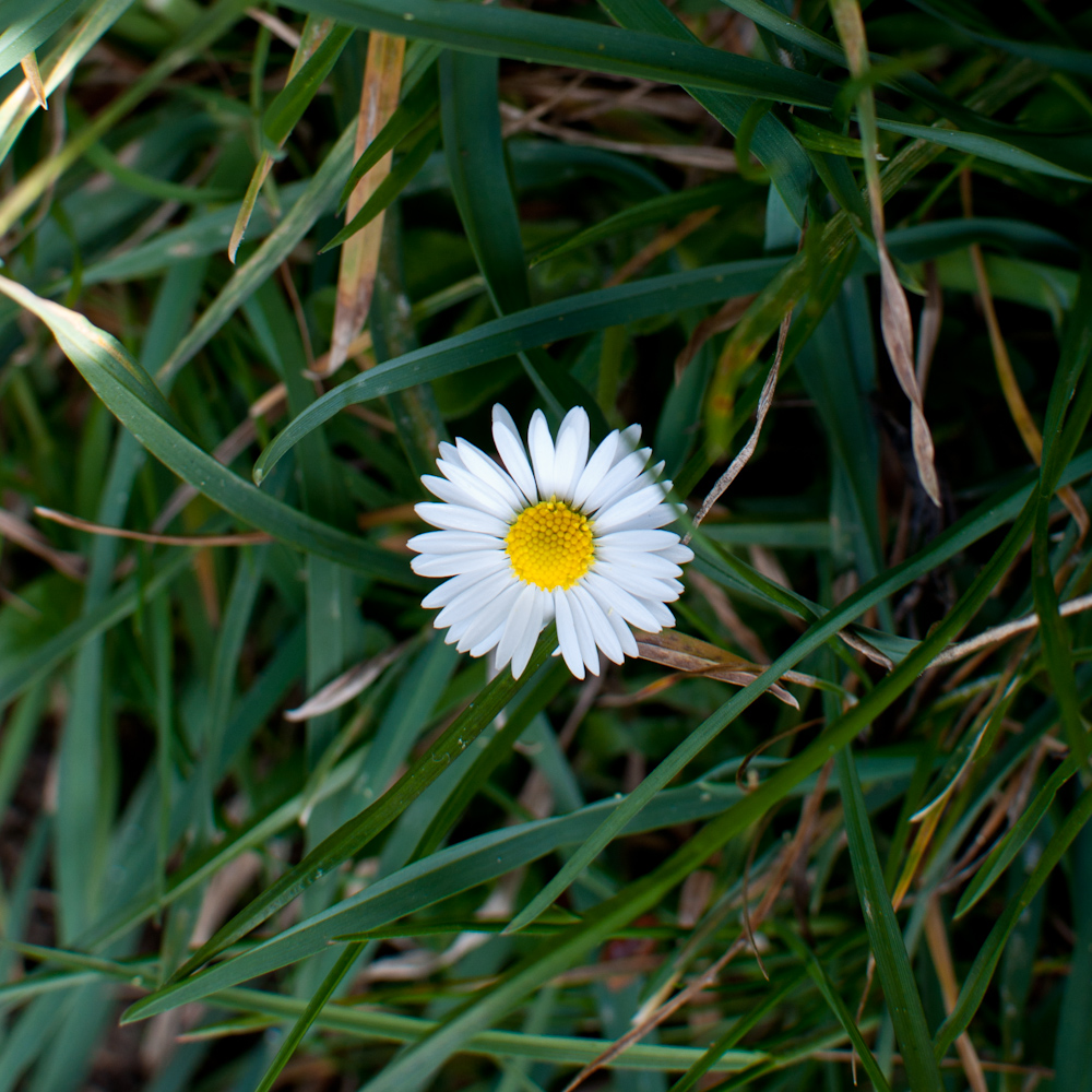 DSC_0905 – Time Well Spent